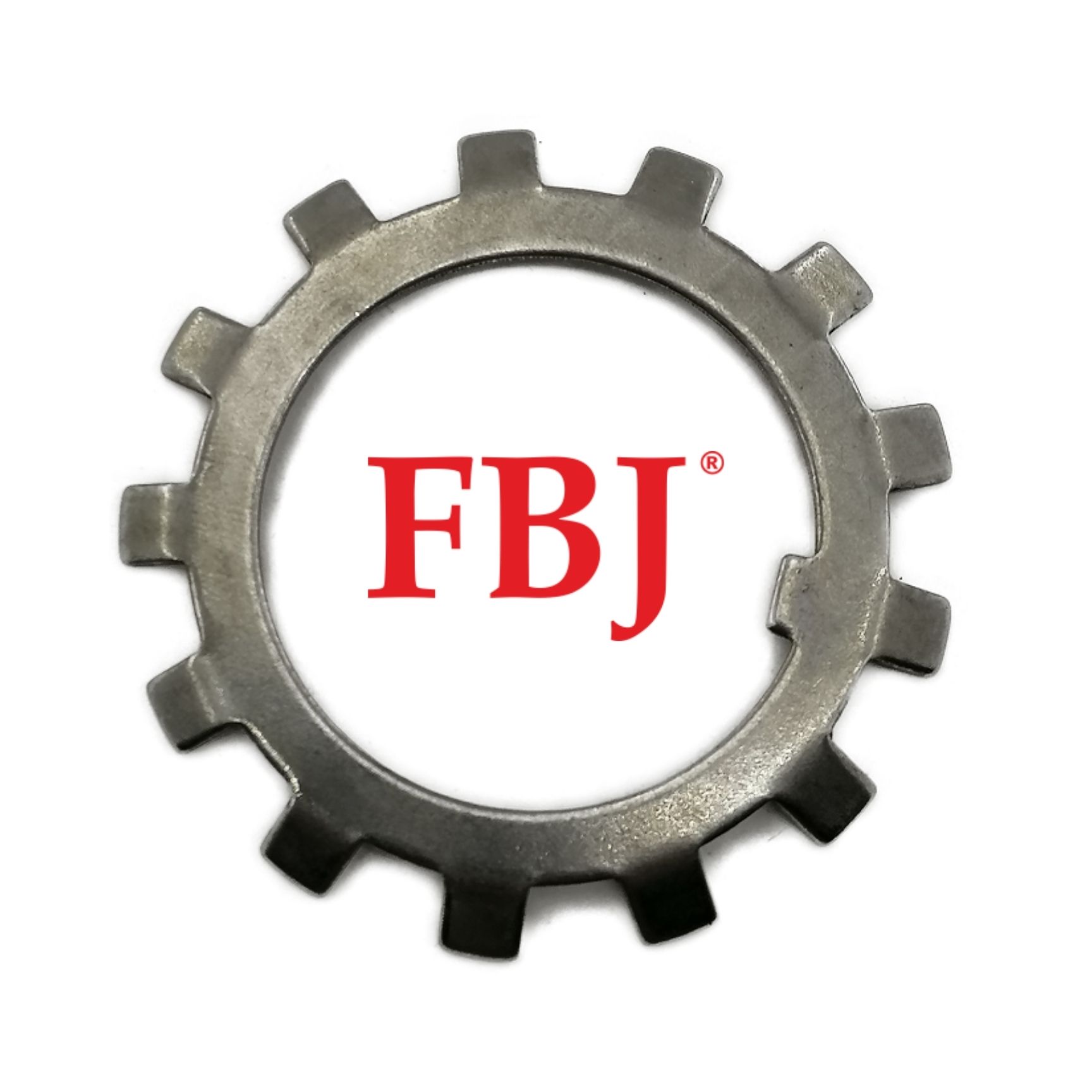 FEROC INDUSTRIAL: FBJ